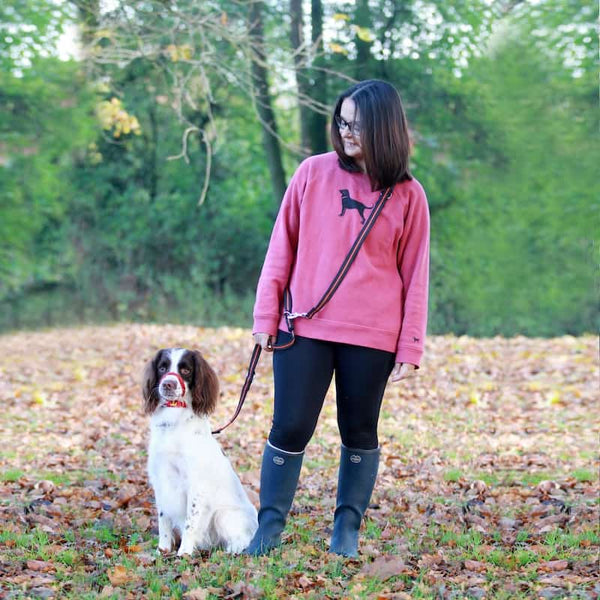 What Is A Dog Training Leash? Everything You Need To Know