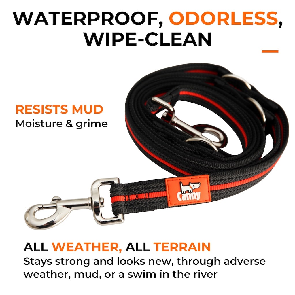 Buy Canny Dog Training Leashes | All Sizes | Fast Delivery