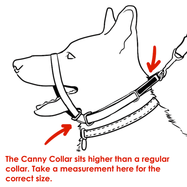 Canny Collar | Dog Head Collar | Head Collars For Dogs
